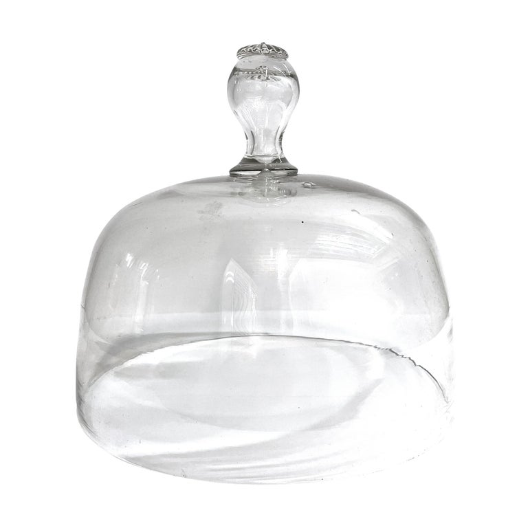 19th Century Hand Blown Glass Food Stand and Dome For Sale at 1stDibs ...