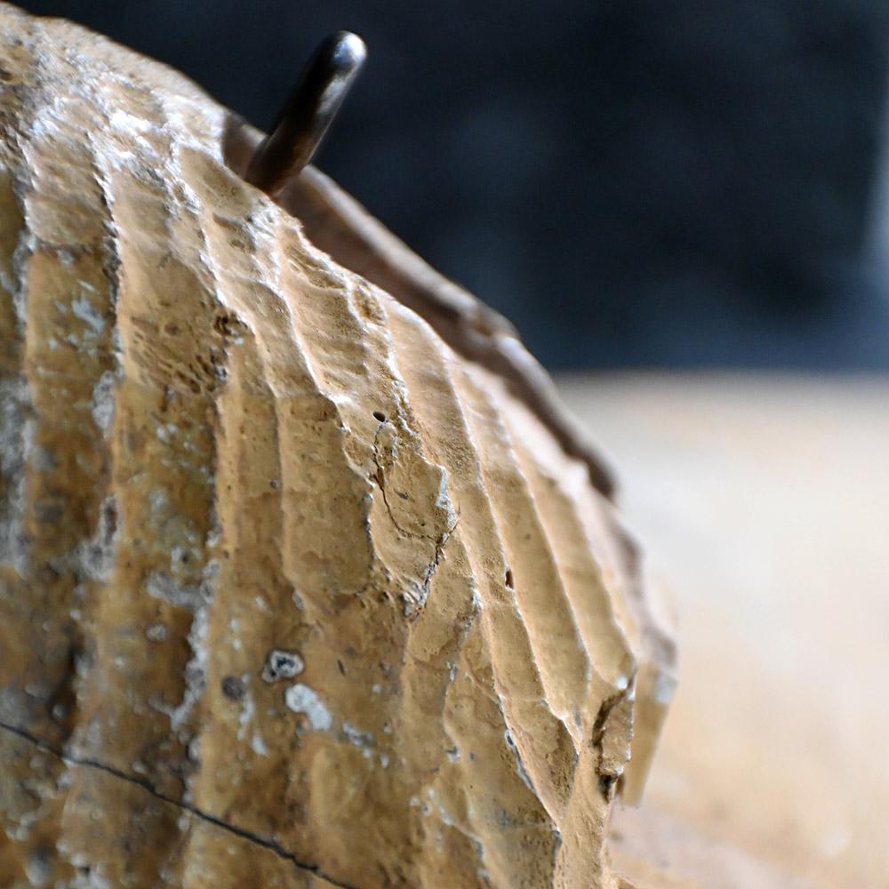 19th Century Hand Carved Angel Form For Sale at 1stDibs