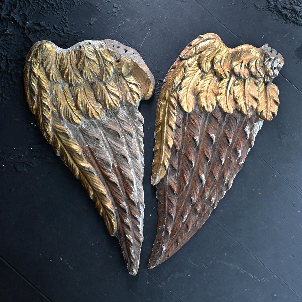 19th Century hand carved Angel Wings For Sale at 1stDibs