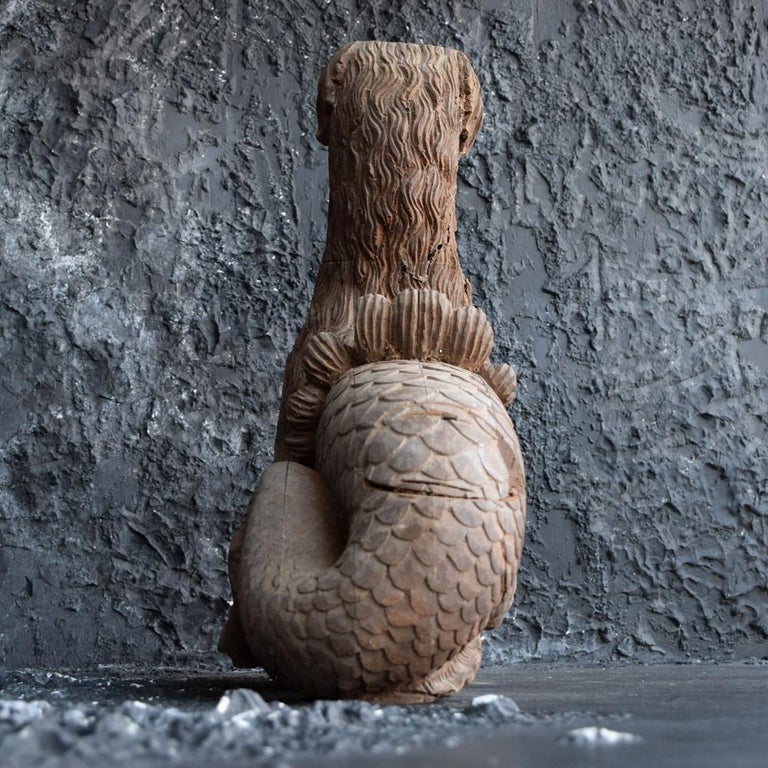 19th Century Hand Carved English Stately Home Mythological Heraldic ...