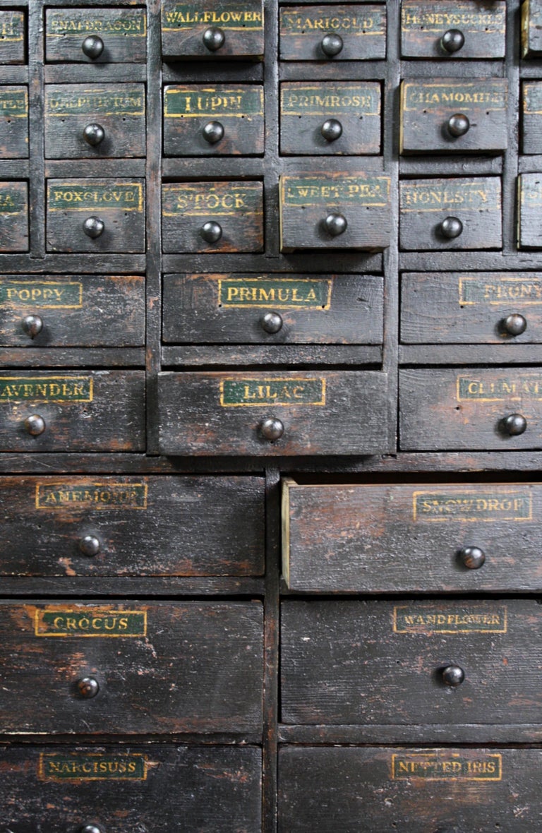 19th Century Horticulturalist Merchants Bank of Seed Shop Drawers at ...