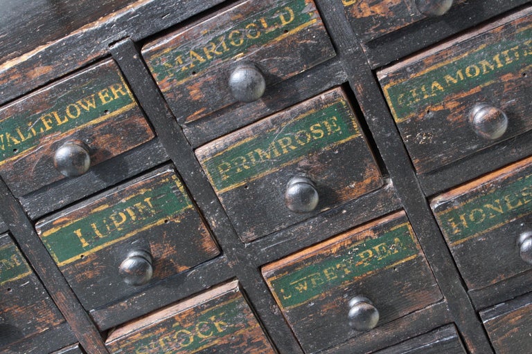 19th Century Horticulturalist Merchants Bank of Seed Shop Drawers at ...