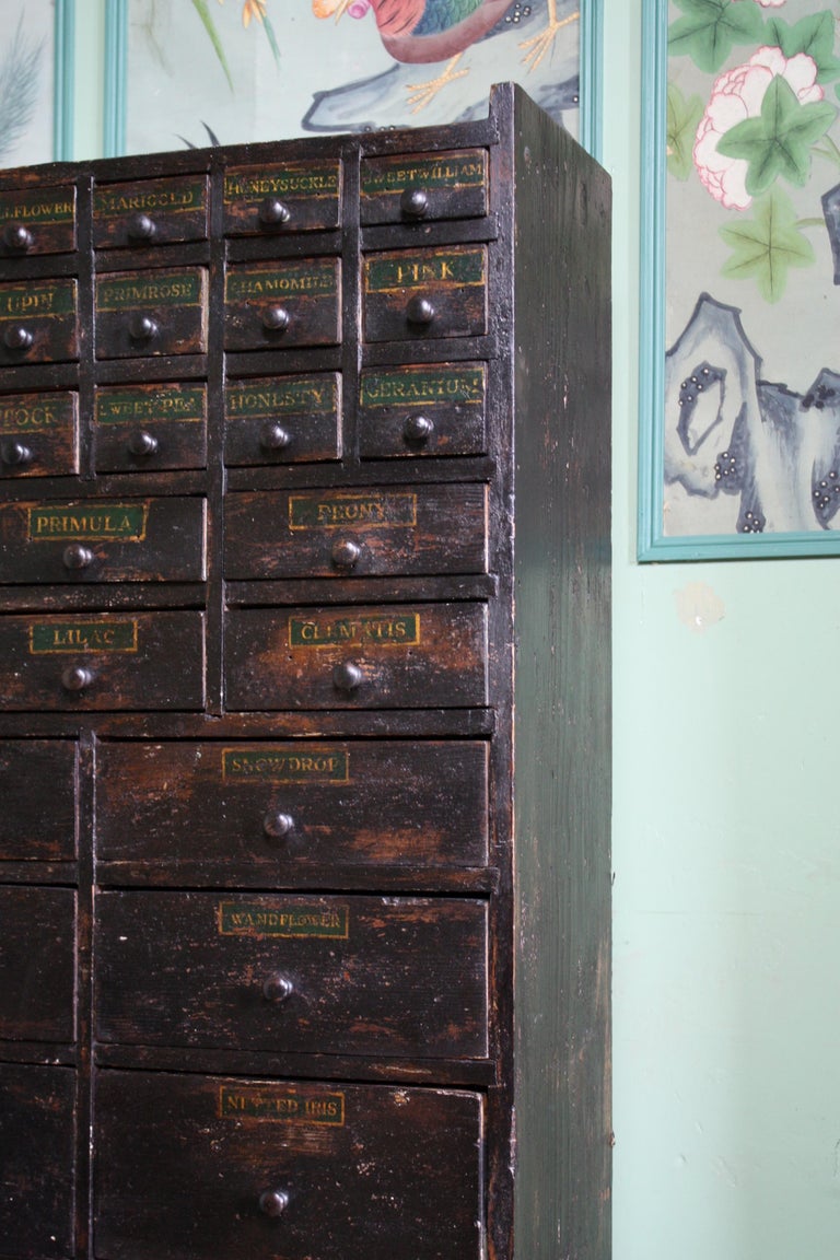 19th Century Horticulturalist Merchants Bank of Seed Shop Drawers at ...