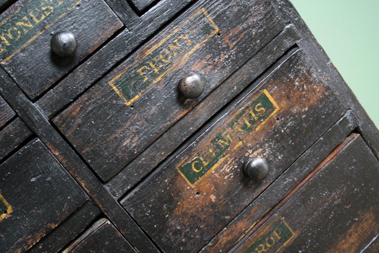 19th Century Horticulturalist Merchants Bank of Seed Shop Drawers at ...