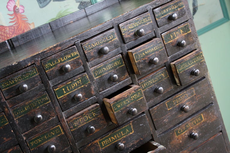 19th Century Horticulturalist Merchants Bank of Seed Shop Drawers at ...