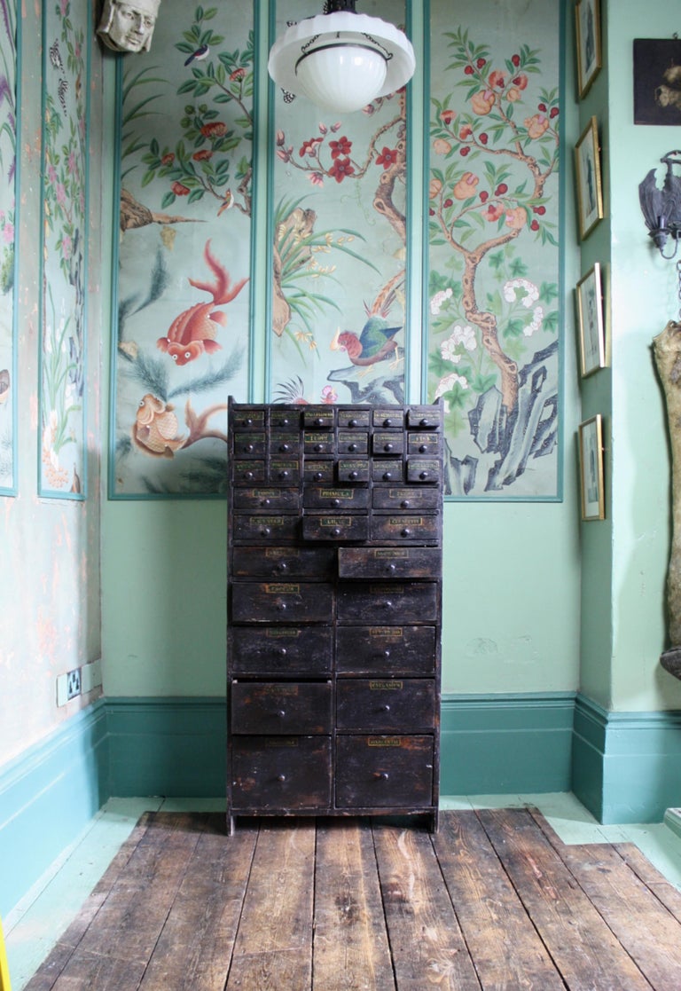 19th Century Horticulturalist Merchants Bank of Seed Shop Drawers at ...