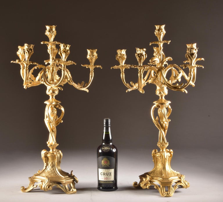 19th Century, Imposing Fire-Gilded Bronze Candle holders in Rococo ...