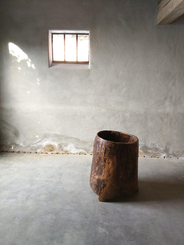 19th Century Indian Naga Tree Trunk at 1stDibs