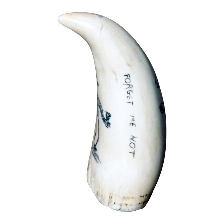 19th Century Irish Folk Art Whale Tooth For Sale at 1stDibs | sperm ...