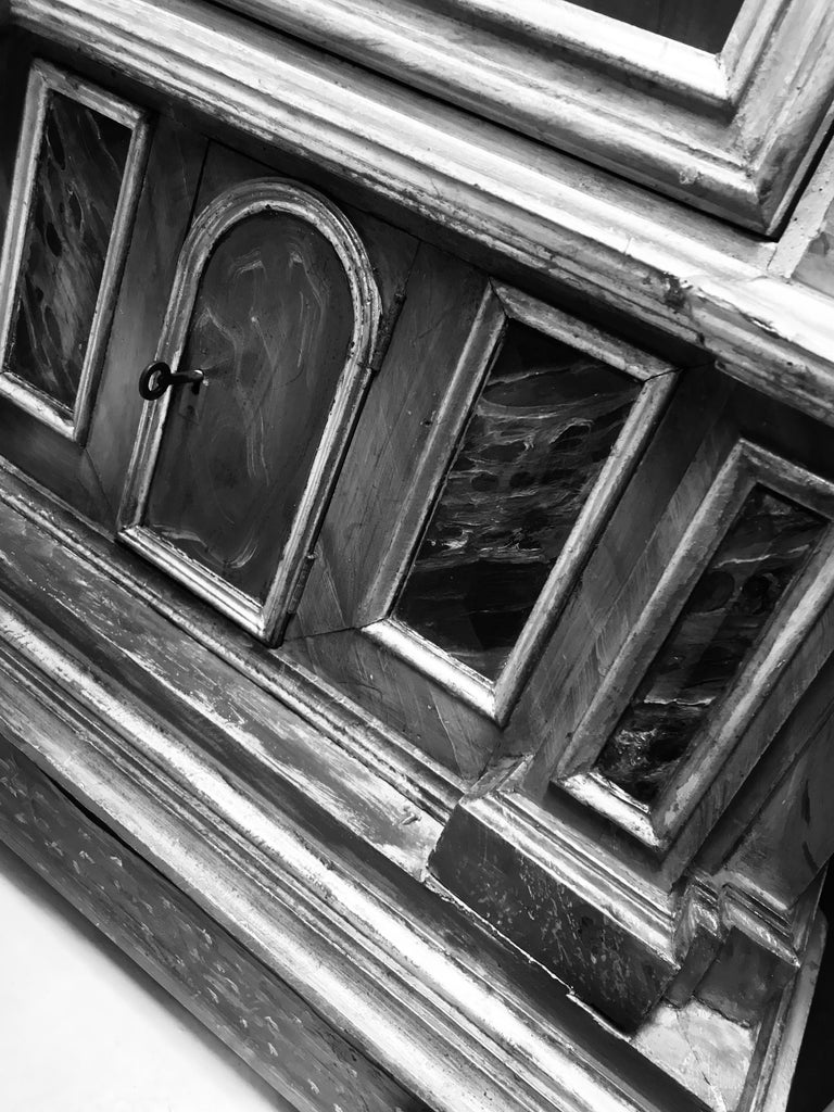 19th Century Italian Curiosity Cabinet For Sale at 1stDibs