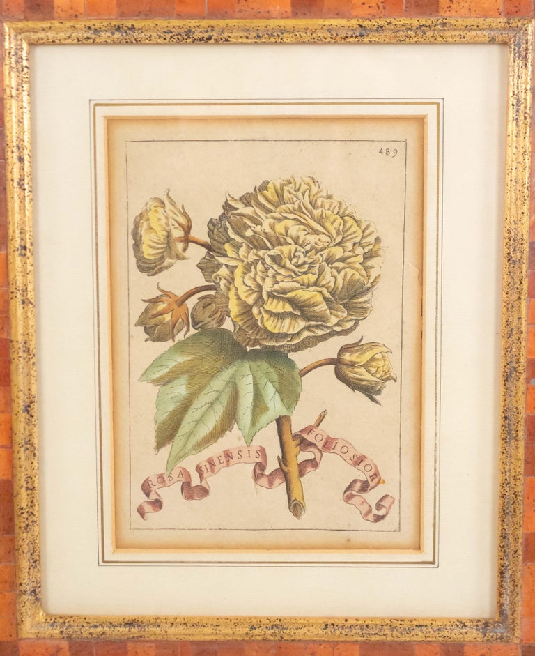 19th Century Italian Hand Colored Engraving of Flowers in an Inlaid ...