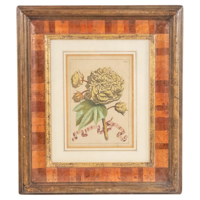 19th Century Italian Hand Colored Engraving of Flowers in an Inlaid ...