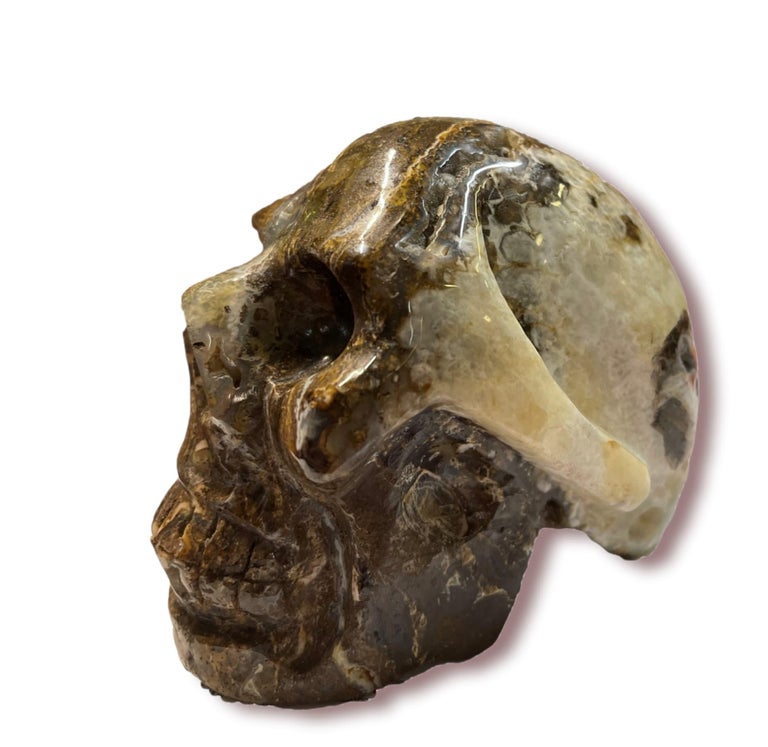 19th Century, Italian Marble Sculpture, Skull For Sale at 1stDibs