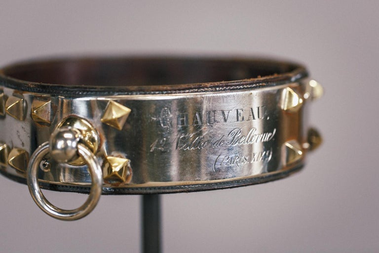 19th Century Leather and Brass Dog Collar at 1stDibs