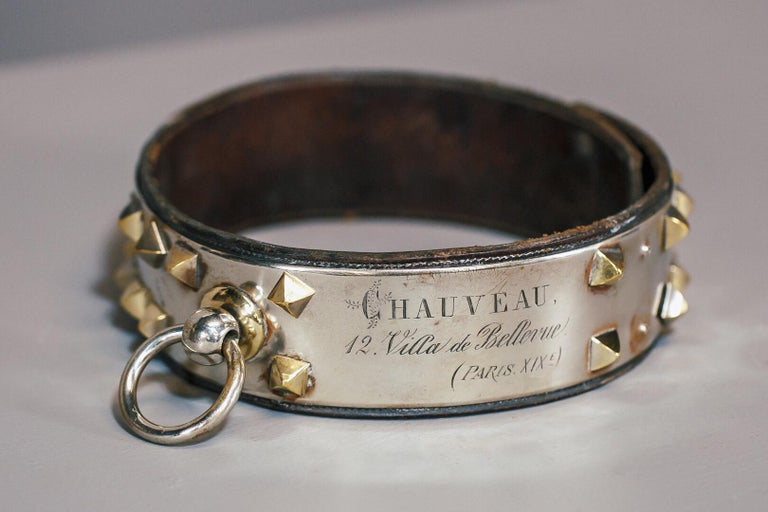 19th Century Leather and Brass Dog Collar at 1stDibs