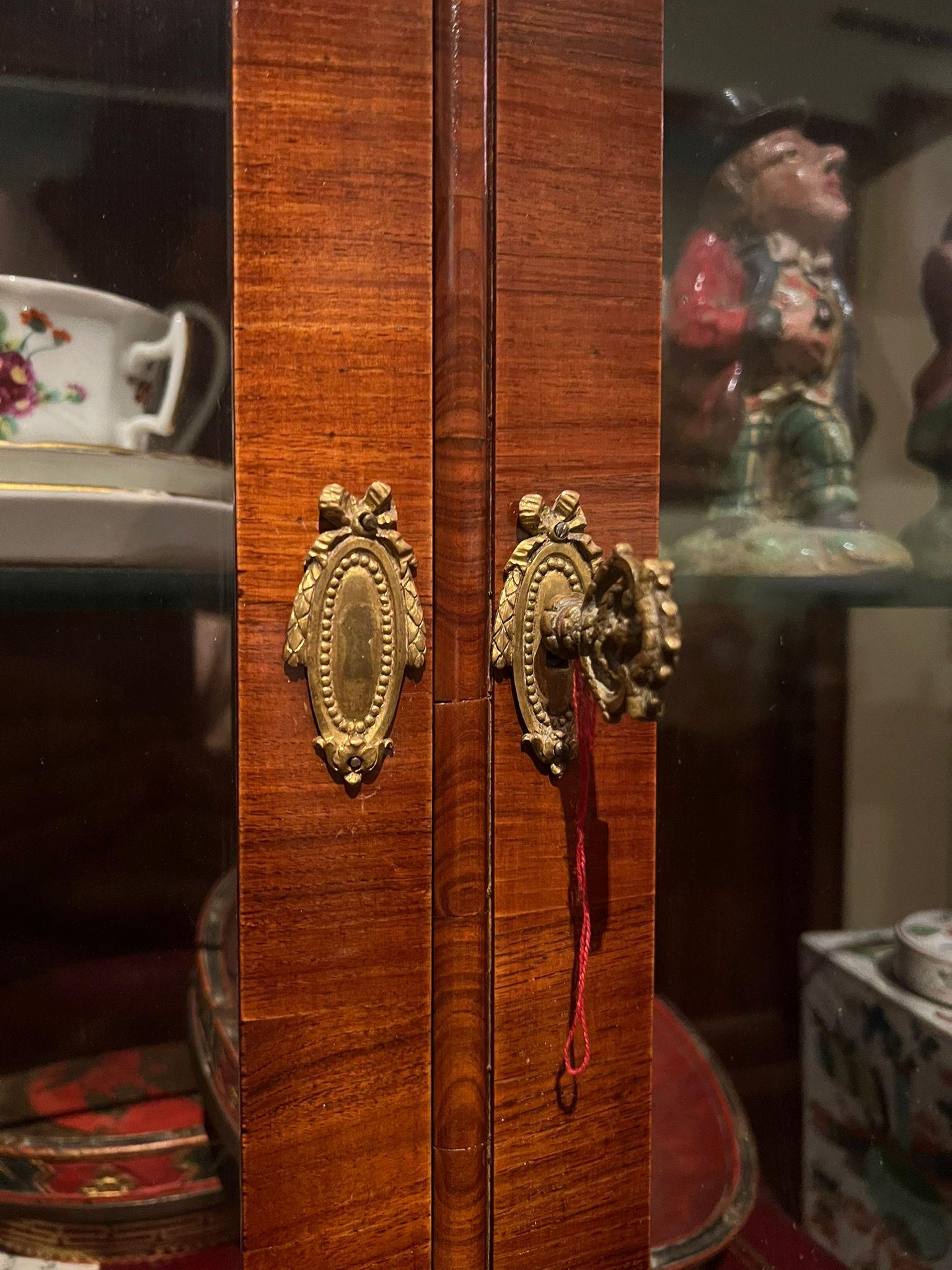 19th Century Little Showcase For Sale at 1stDibs
