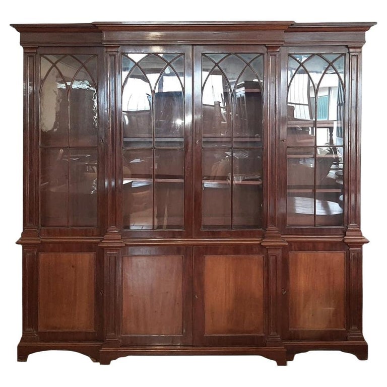 19th Century Livornese Bookcase with Doors For Sale at 1stDibs