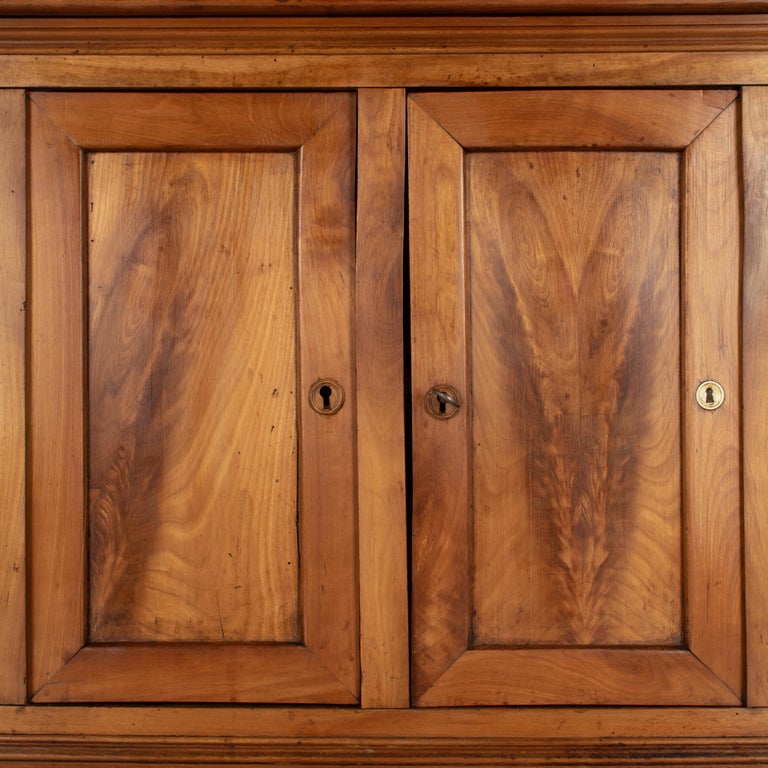 19th Century Louis Philippe Display Cabinet or Bibliotheque at 1stDibs ...