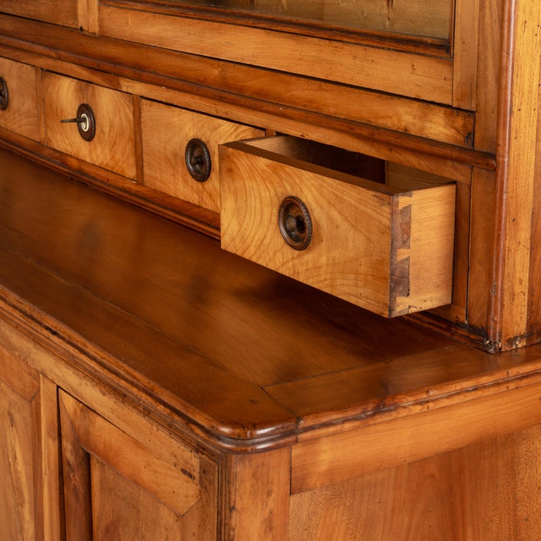 19th Century Louis Philippe Display Cabinet or Bibliotheque at 1stDibs ...