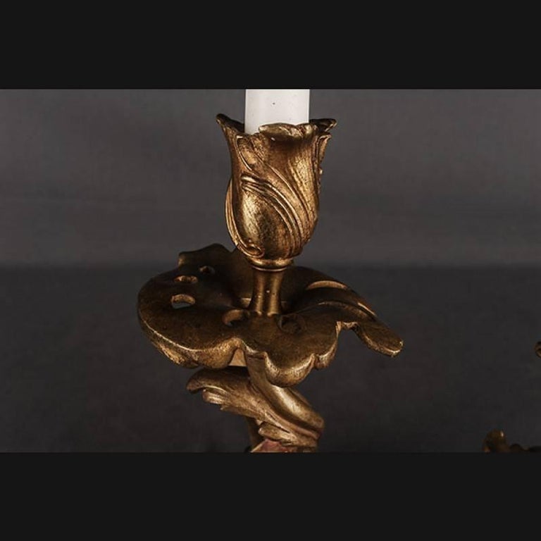 19th Century, Louis XV Style Three-Lighted Luminary Wall Light For Sale ...