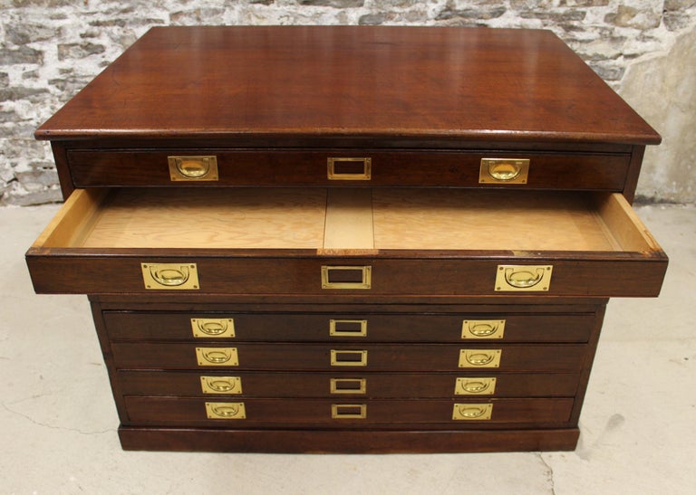 19th Century Mahogany Campaign Map Chest at 1stDibs