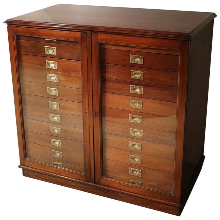 19th Century Mahogany Collectors Cabinet at 1stDibs