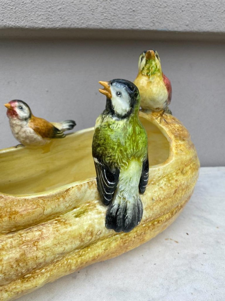19th Century Majolica Birds Squash Jardinière Delphin Massier at 1stDibs