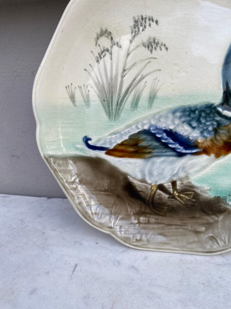 19th Century Majolica Mallard Duck Plate Choisy Le Roi For Sale at 1stDibs