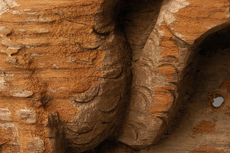 19th Century, Mandalay, Antique Burmese Wood Carving Panel with Animal ...