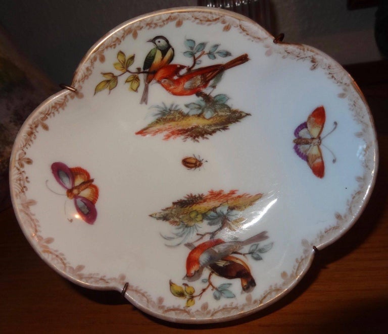 19th Century Meissen Porcelain Augustus Rex Cup and Saucer Butterflies ...