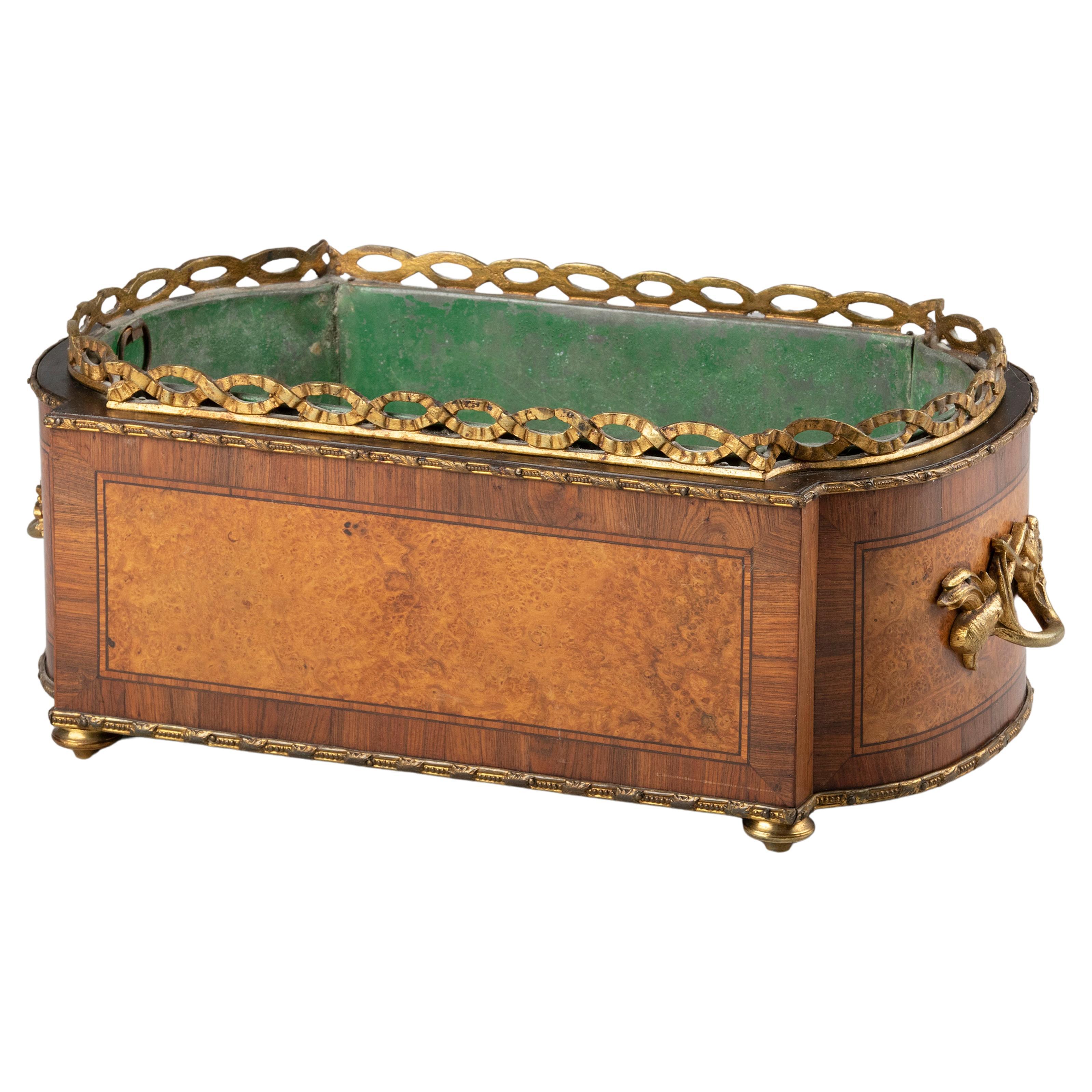 19th Century, French Napoleon III Inlay Rosewood and Brass Mounts Plant ...