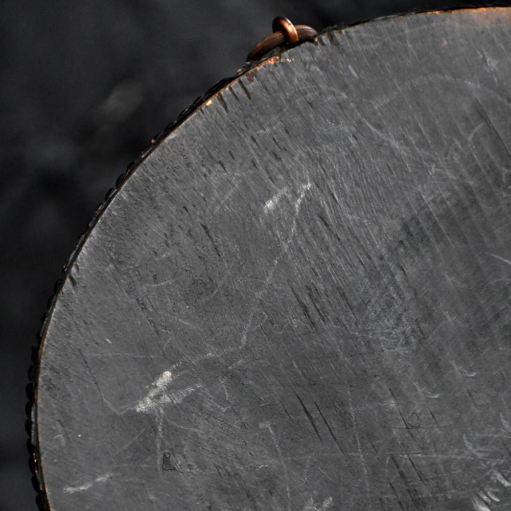 19th Century Natural History Display Shell Diorama at 1stDibs