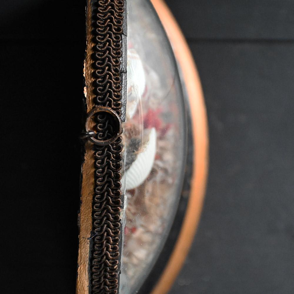 19th Century Natural History Display Shell Diorama at 1stDibs