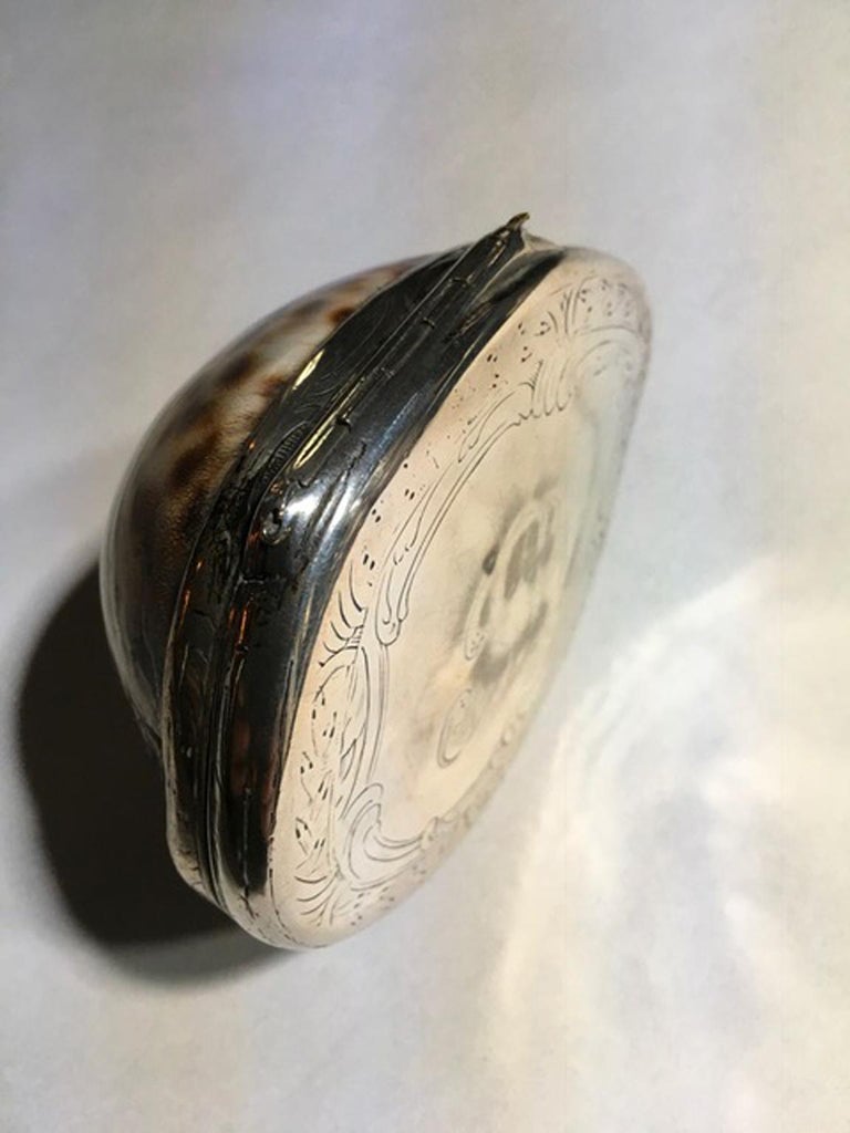 19th Century Natural Shell Mounted in Silver Box at 1stDibs
