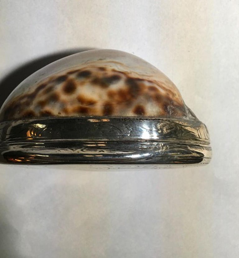 19th Century Natural Shell Mounted in Silver Box at 1stDibs