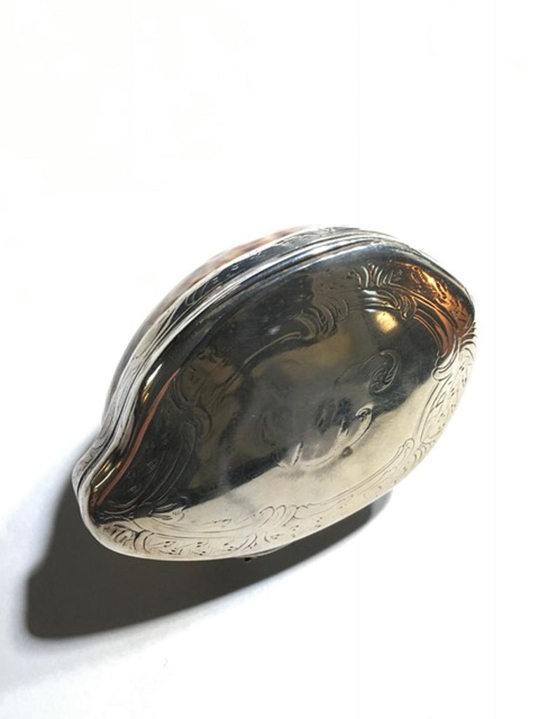 19th Century Natural Shell Mounted in Silver Box at 1stDibs