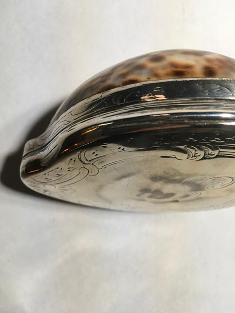 19th Century Natural Shell Mounted in Silver Box at 1stDibs