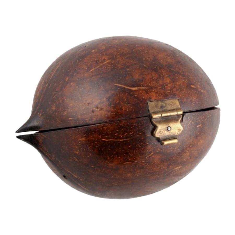 19th Century 'Nut' Box, 19th Century For Sale at 1stDibs