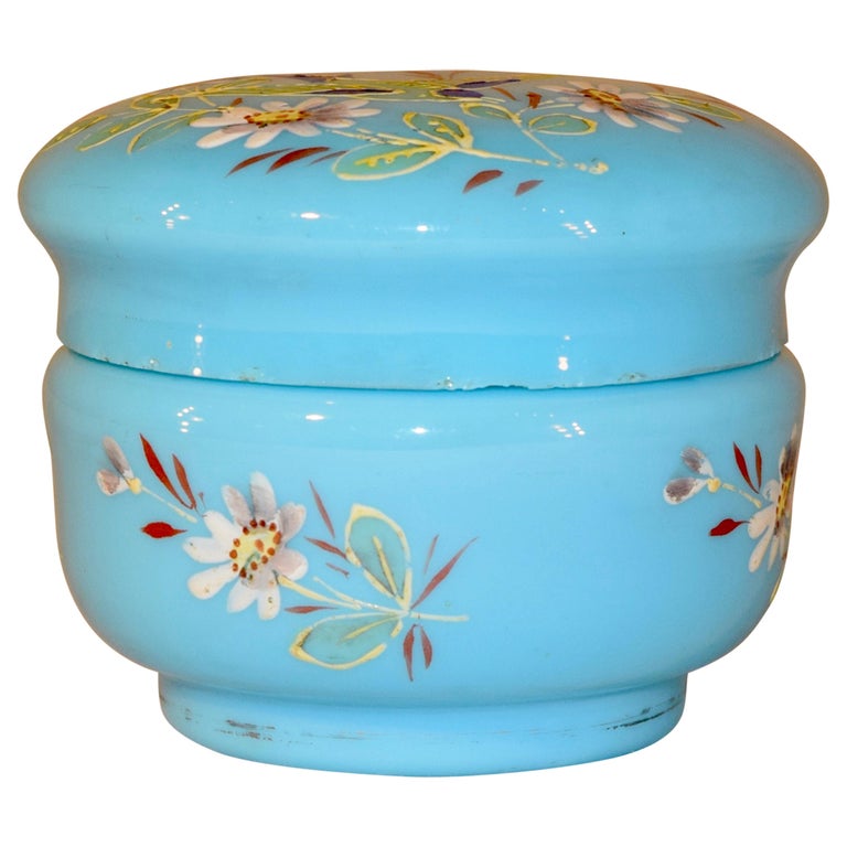 19th Century Opaline Glass Jar For Sale at 1stDibs