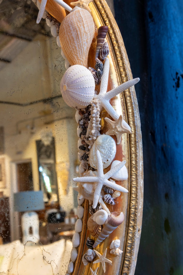 19th Century Oval Wall Mirror with Modern Shell Decoration For Sale at ...