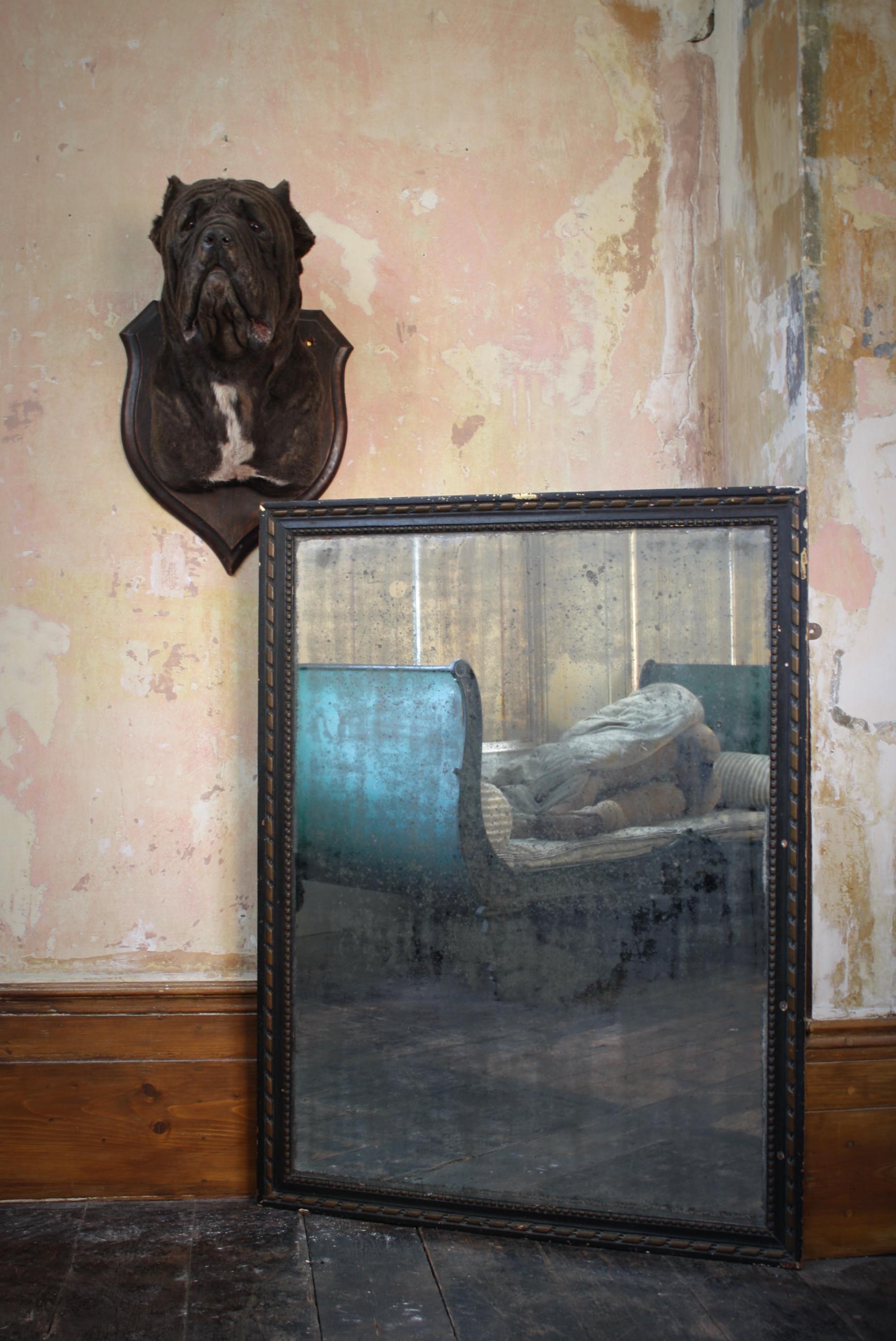 19th Century Oxidised Foxed Antique Ebonised Mercury Mirror Shop at ...