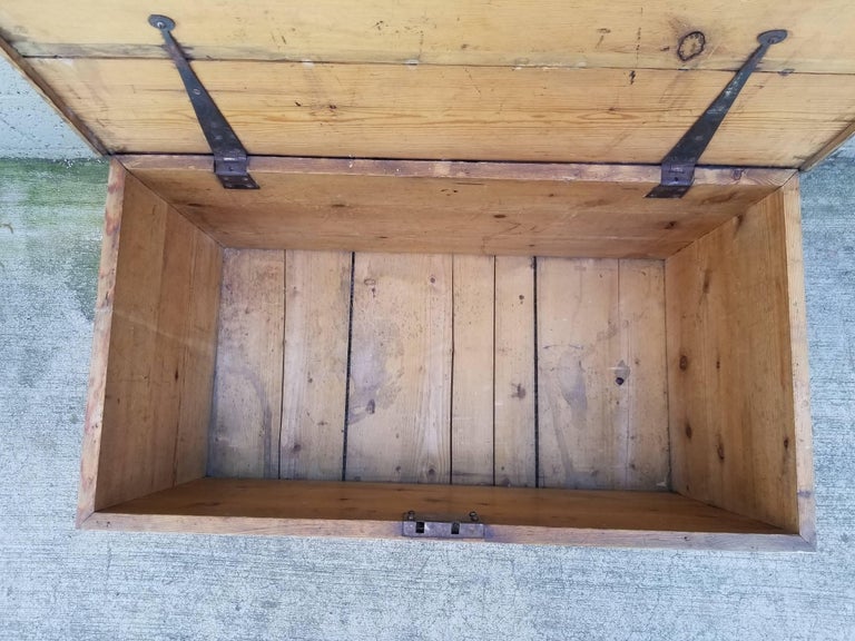 19th Century Pine Trunk For Sale at 1stDibs | pine trunk for sale, pine ...