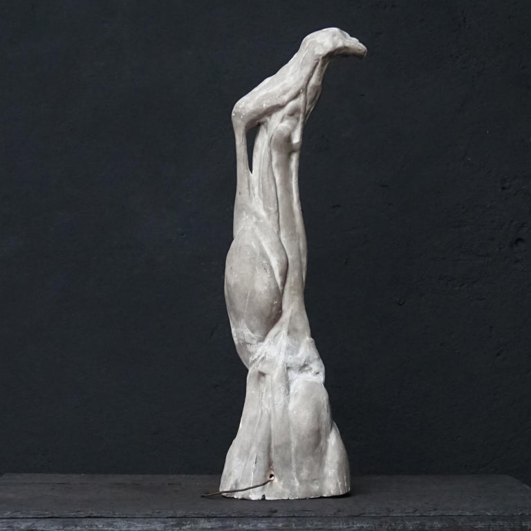 19th Century Plaster Muscle Study of Human Leg from the Rijksacademie ...