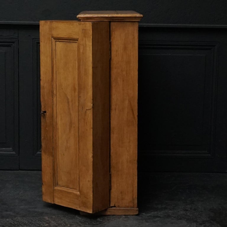 19th Century Primitive Pine Wood Counter Cabinet with Two Deep Swinging ...