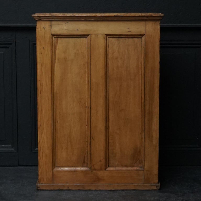 19th Century Primitive Pine Wood Counter Cabinet with Two Deep Swinging ...