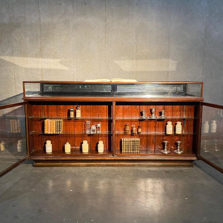 19th Century Rare Victorian Mahogany Jewellers Display Case Counter For ...