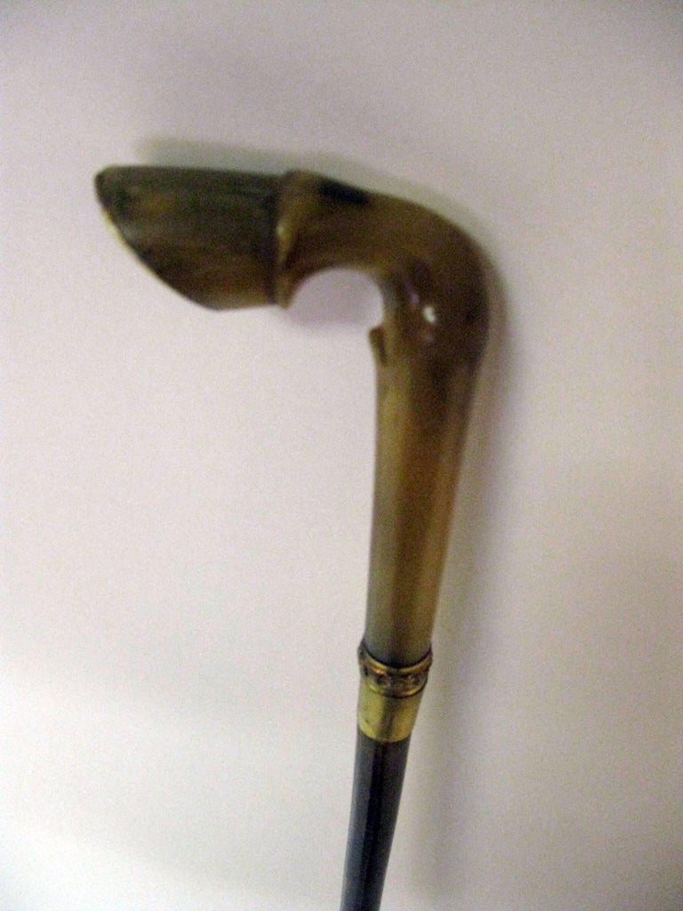 19th century Rosewood Walking Stick with Dagger and Hoof Handle at ...