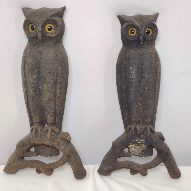 19th Century Salvaged Caste Iron Owl Andirons with Glass Eyes Wall ...