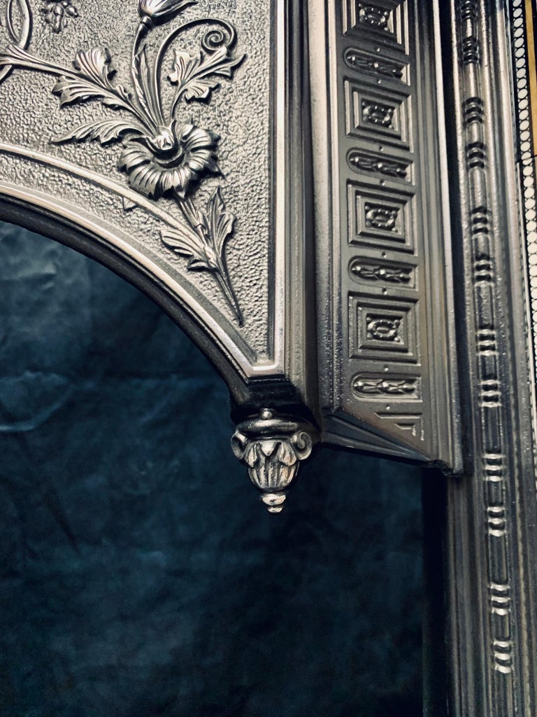 19th Century, Scottish Carron of Falkirk Cast Iron Fireplace Insert For ...