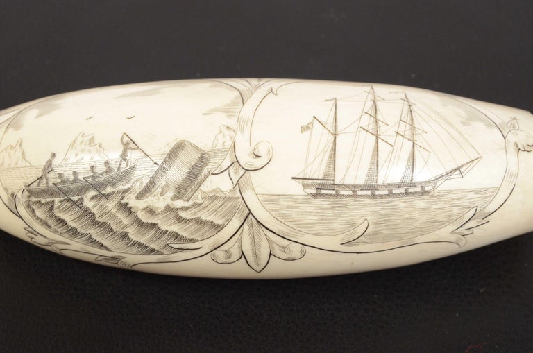 19th Century Scrimshaw of an Engraved Whale Tooth Very Fine Nautical ...